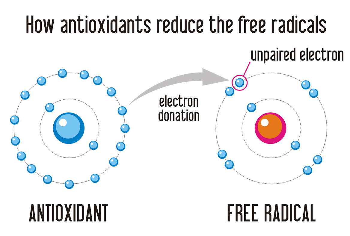Basic Physiology of Life Style Disease